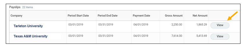 Reading Your Workday Payslip
