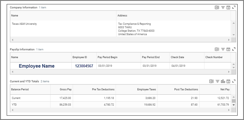 Reading Your Workday Payslip